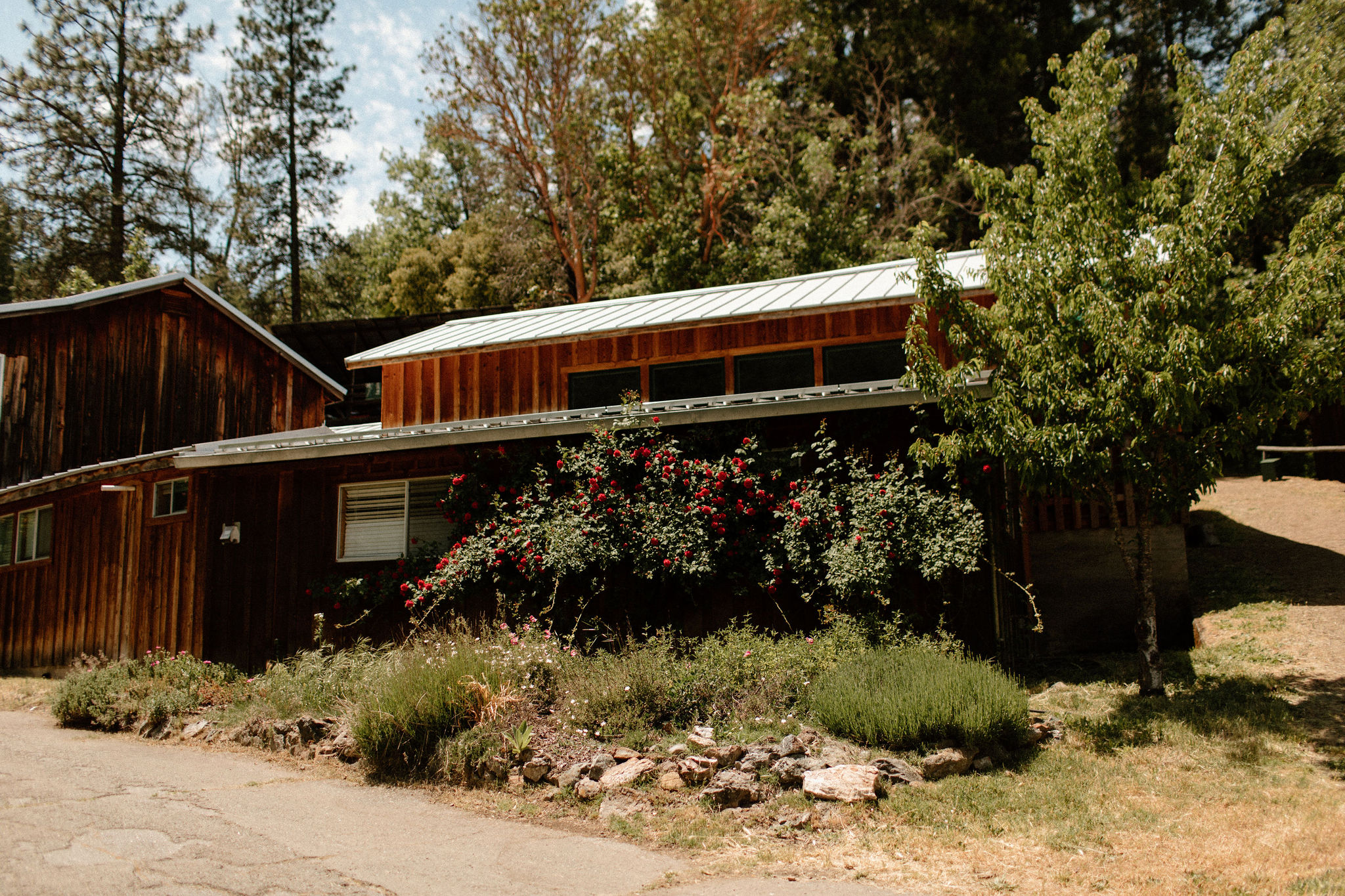 A Fun Bar 717 Ranch Summer Camp Wedding - taylorbmccutchan.com